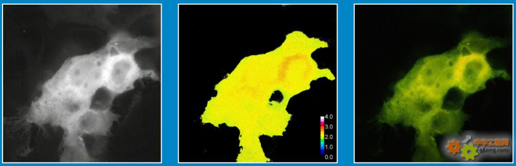pco.flim 荧光寿命成像相机-高速成像 高速摄像 动态图像-