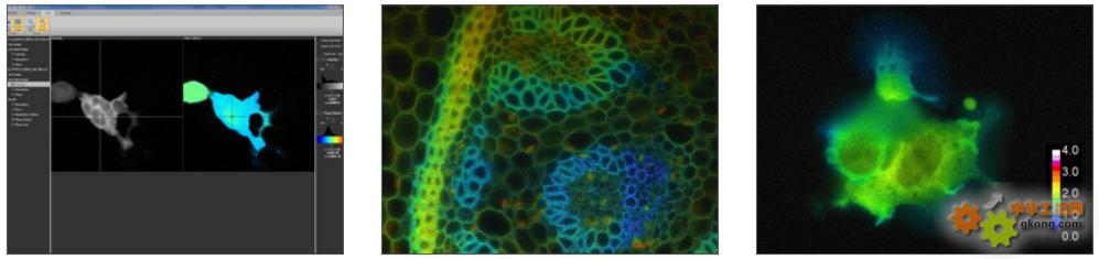 pco.flim 荧光寿命成像相机-高速成像 高速摄像 动态图像-